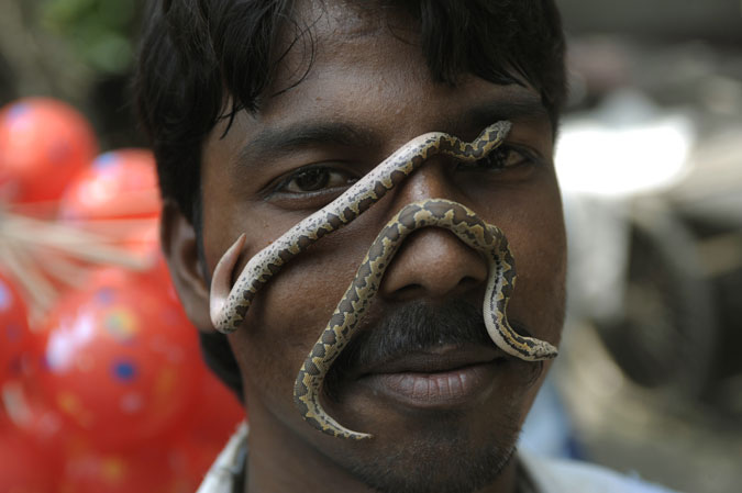Photo of the Day: Snakes on a Face | Asia Society